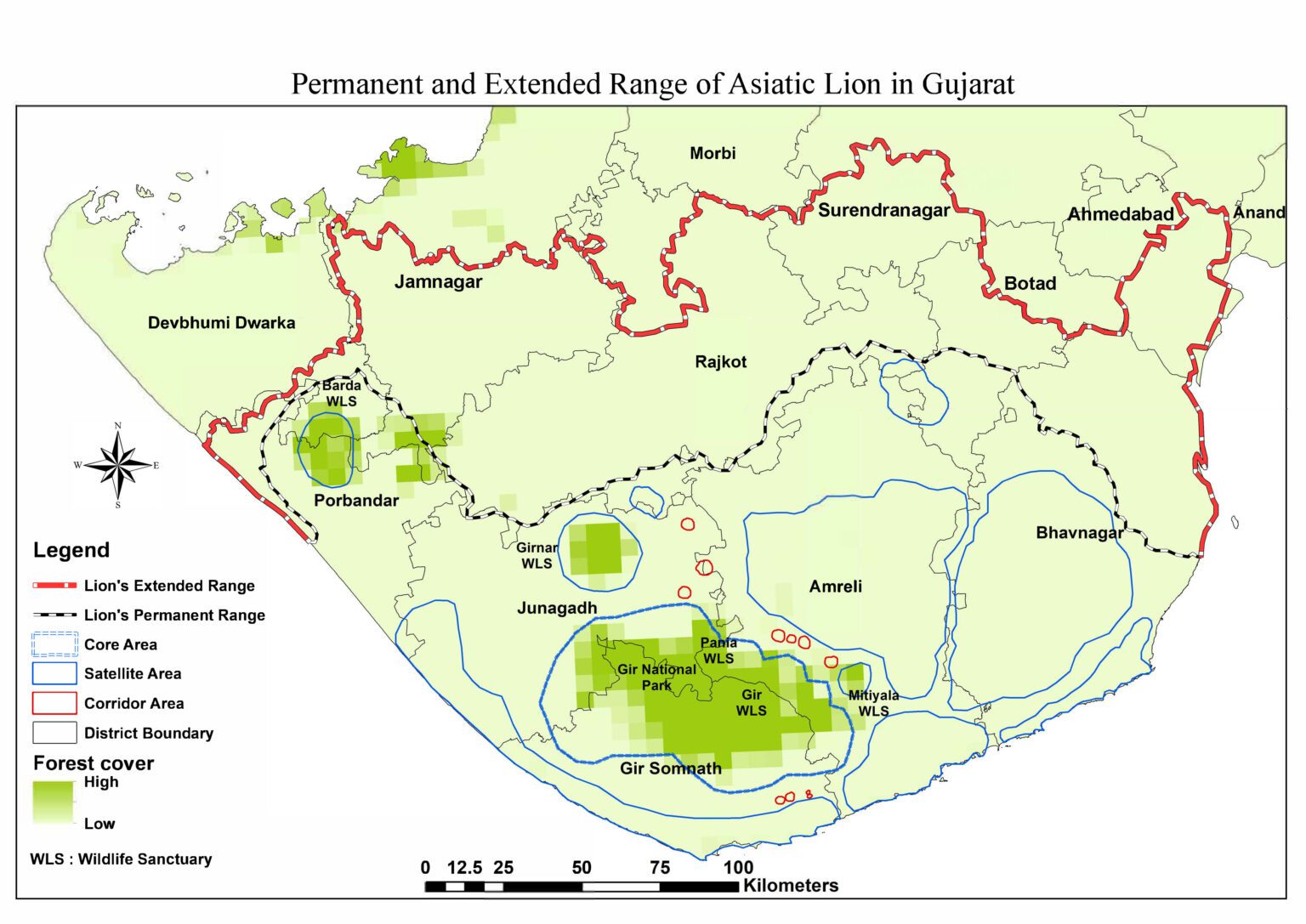 When Asiatic Lions Reclaim their Lost Home – Sankala Org